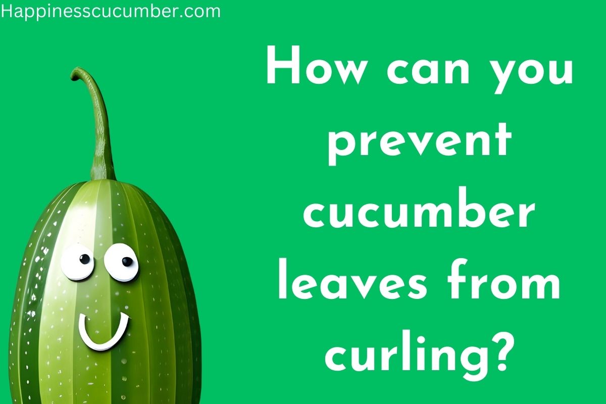 Cucumber Leaf Curl: Causes and Solutions for Healthy Plants - Happiness ...