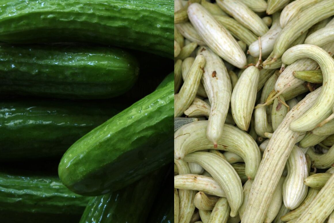 Kheera, Cucumber, and Kakdi - Understanding the Differences