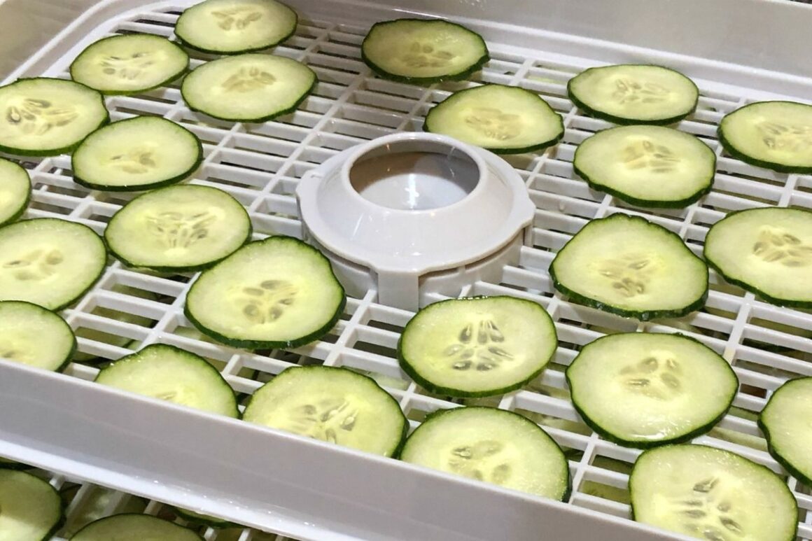 Baked or Dehydrated Cucumber Chips - A Simple Low Carb Recipe ...