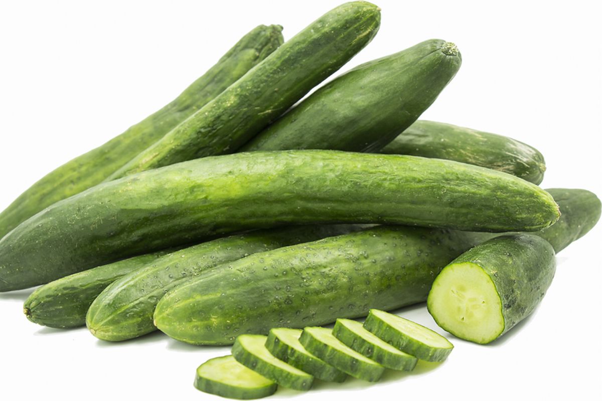 Japanese Cucumber Info: How to Grow Japanese Cucumber From Seed ...