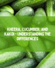 Persian Cucumber: Growing, Differences, and Benefits - Happiness Cucumber