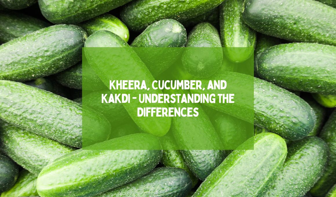 Kheera, Cucumber, and Kakdi - Understanding the Differences Kheera, Cucumber, and Kakdi - Understanding the Differences