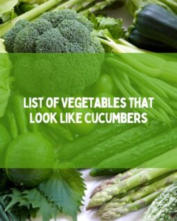 Cucumber Allergy: Symptoms, Rash, and Treatment - Happiness Cucumber