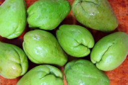 List of Vegetables That Look Like Cucumbers - Happiness Cucumber