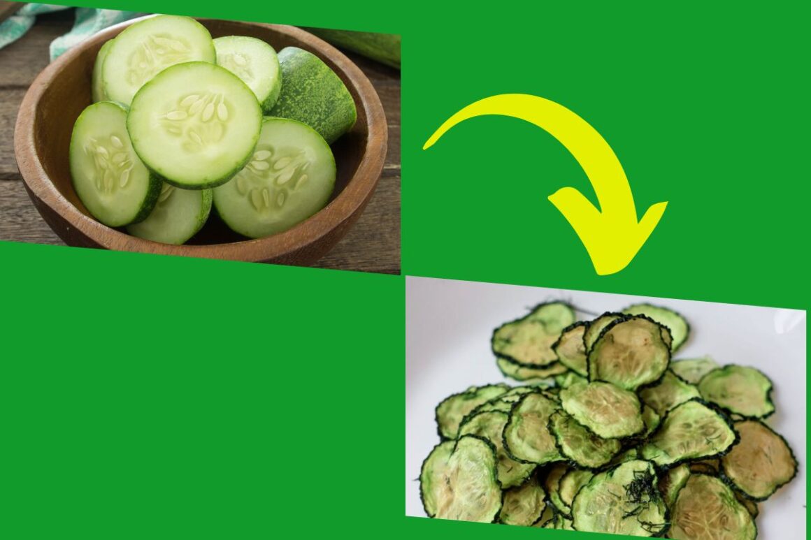 Baked or Dehydrated Cucumber Chips - A Simple Low Carb Recipe ...
