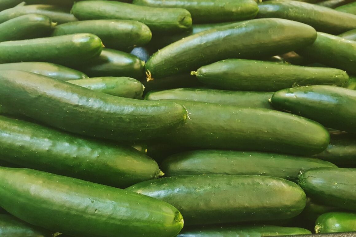 Kheera, Cucumber, and Kakdi - Understanding the Differences