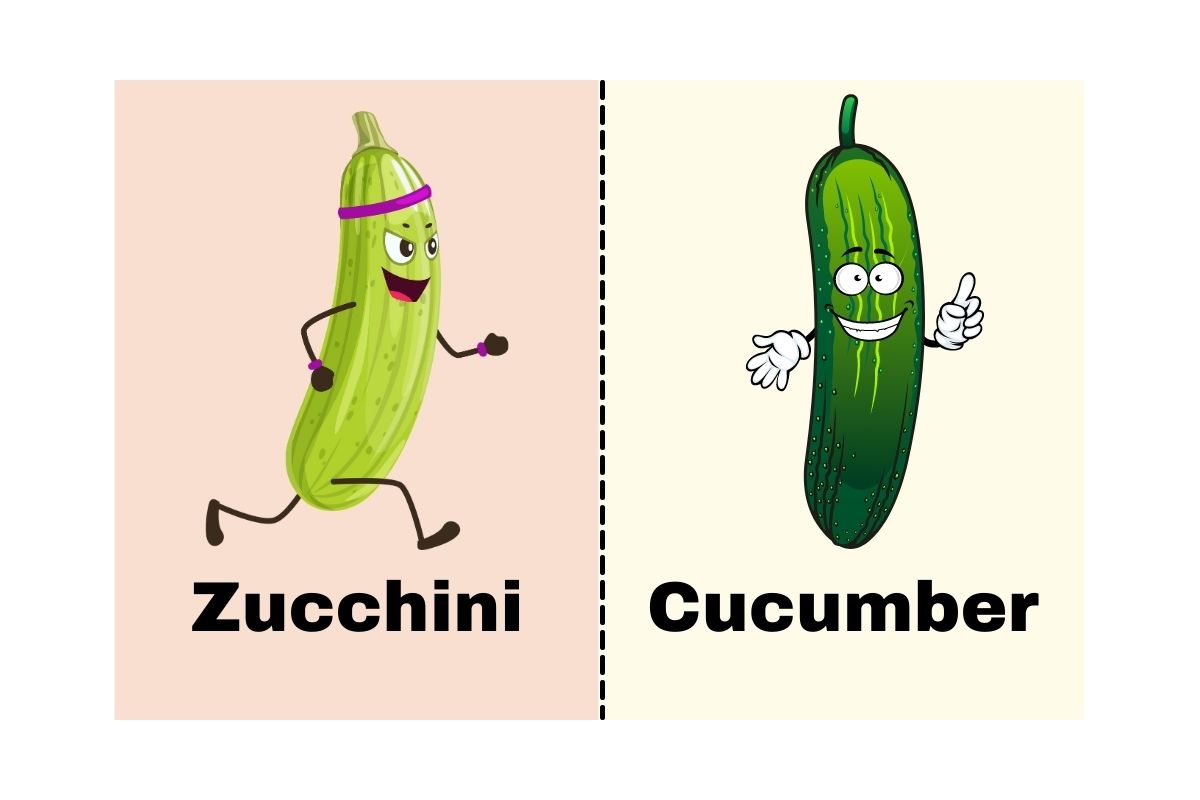 Cucumber vs Zucchini: What is the Difference Between Cucumber and ...