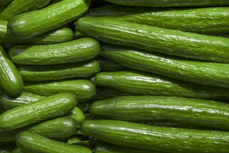 All You Need to Know About English Cucumbers - Happiness Cucumber