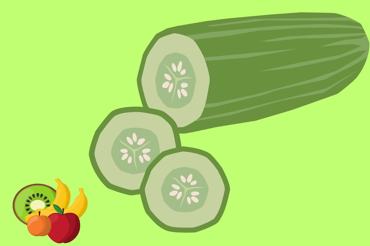 Are Cucumbers a Fruit or Vegetable? - Happiness Cucumber