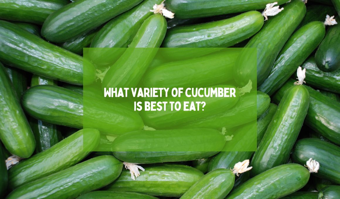 What cucumber variety is best to eat? - Happiness Cucumber